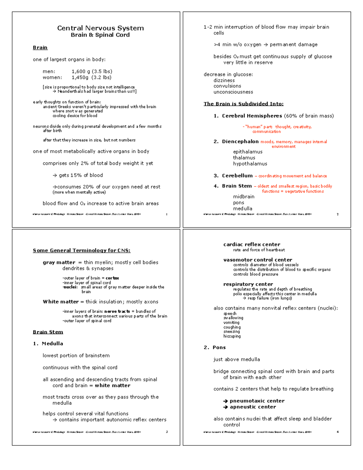 Central Nervous System - Human Anatomy & Physiology: Nervous System ...