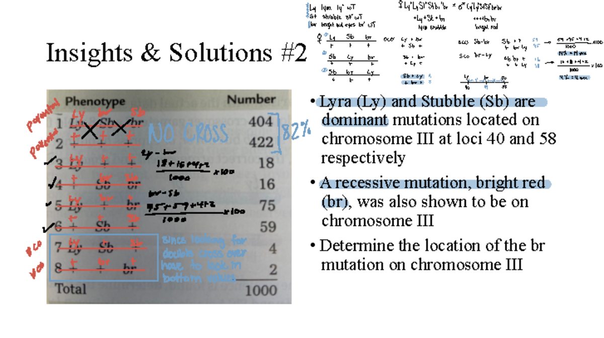 Chapter 5 Practice Problems - Insights & Solutions • Lyra (Ly) and ...