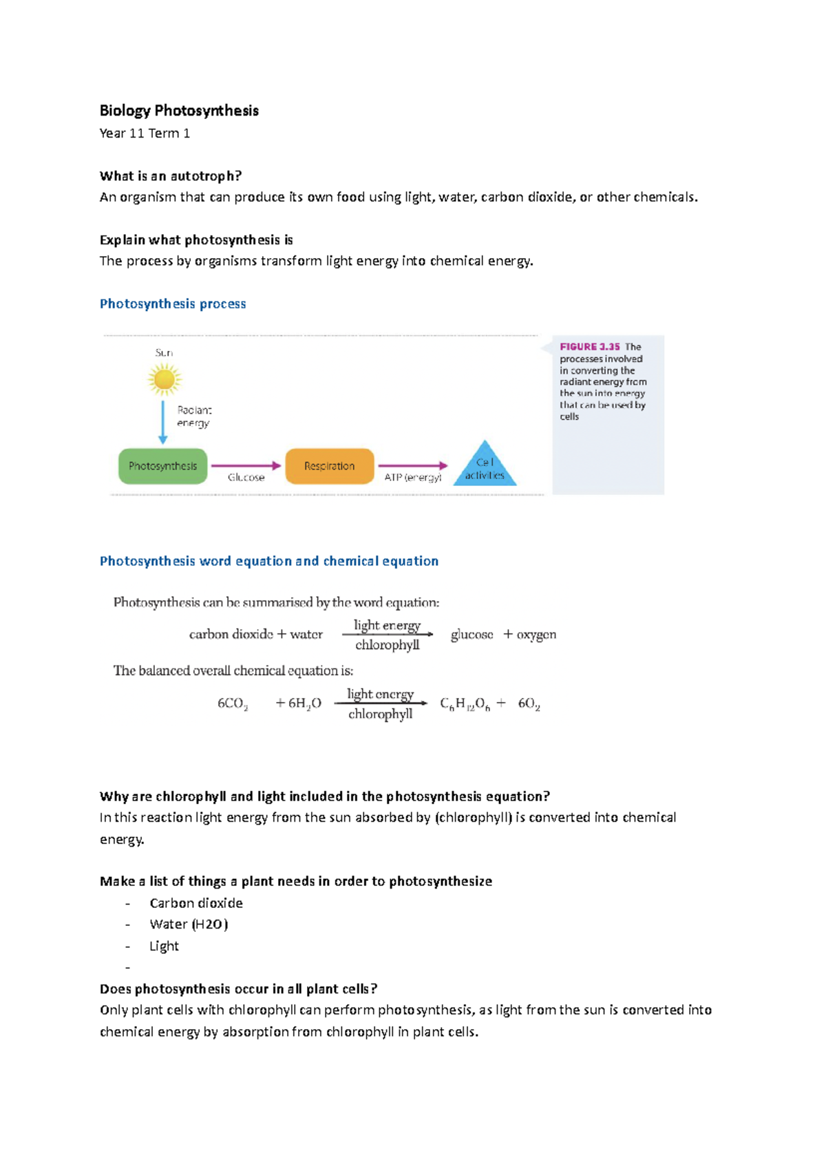 Biology Photosynthesis - Biology Photosynthesis Year 11 Term 1 What is ...