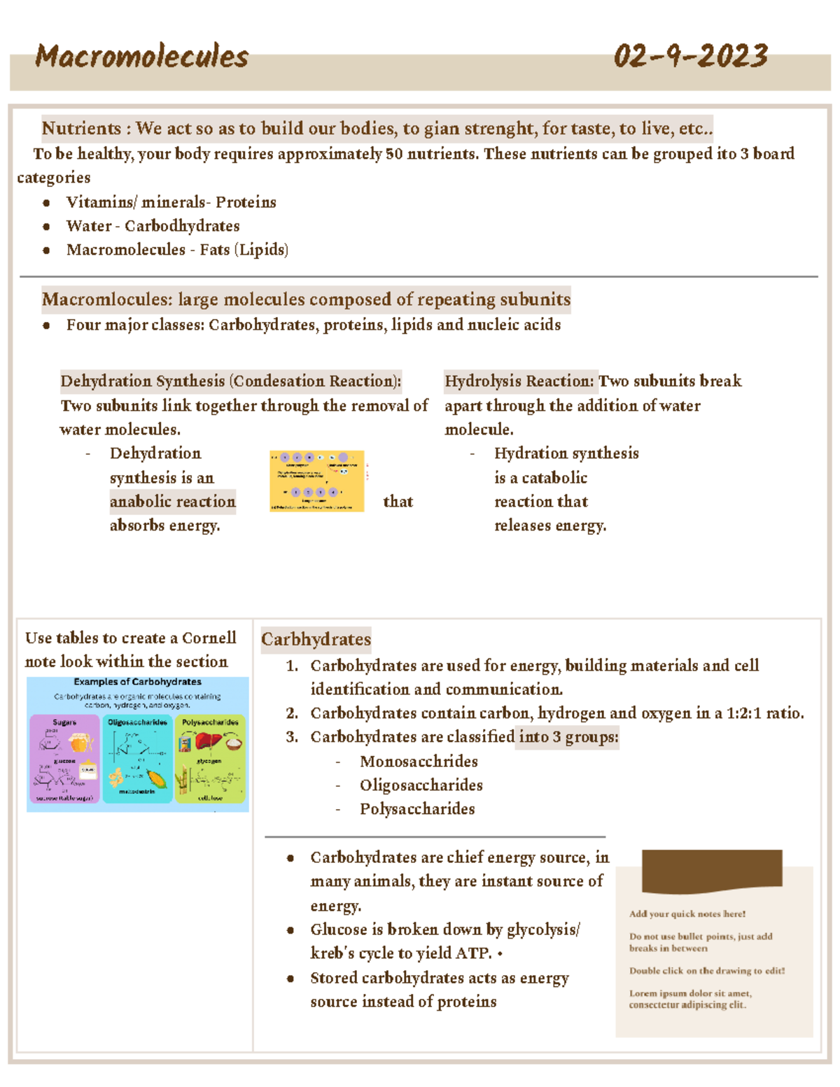 Macromlecules - Macromolecules note - Macromolecules 02-9- Nutrients ...