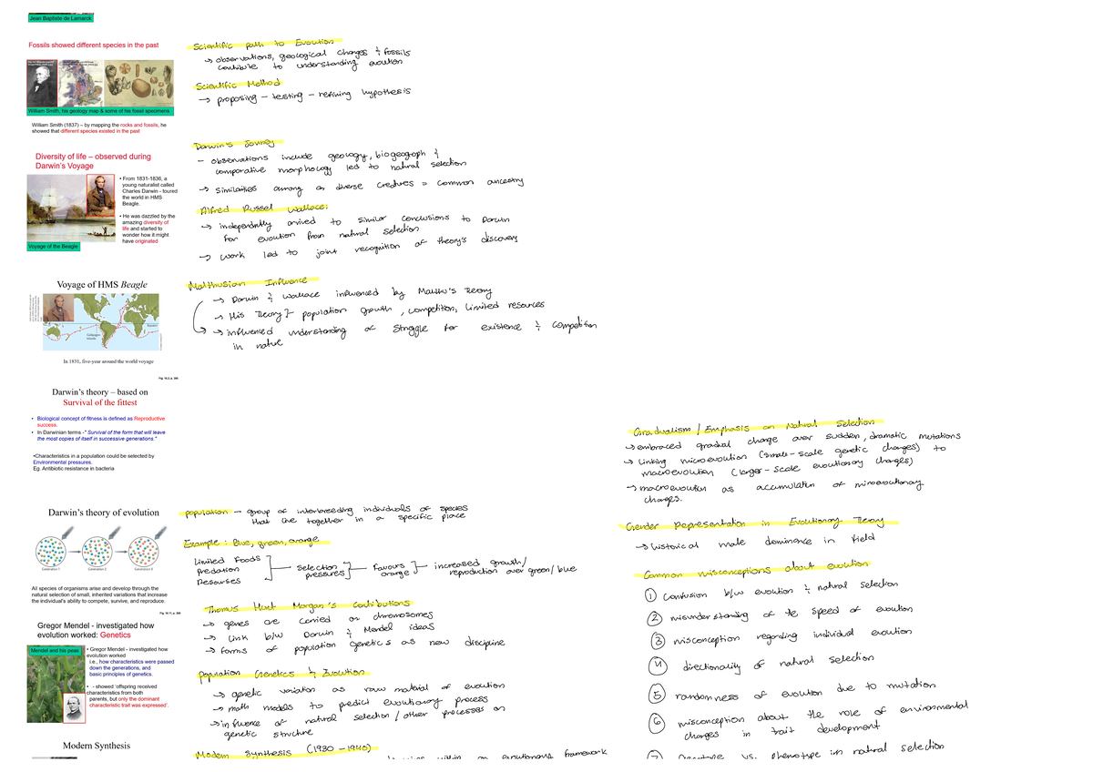 BI111 - Diversity Note 1 - BI 111 - Studocu