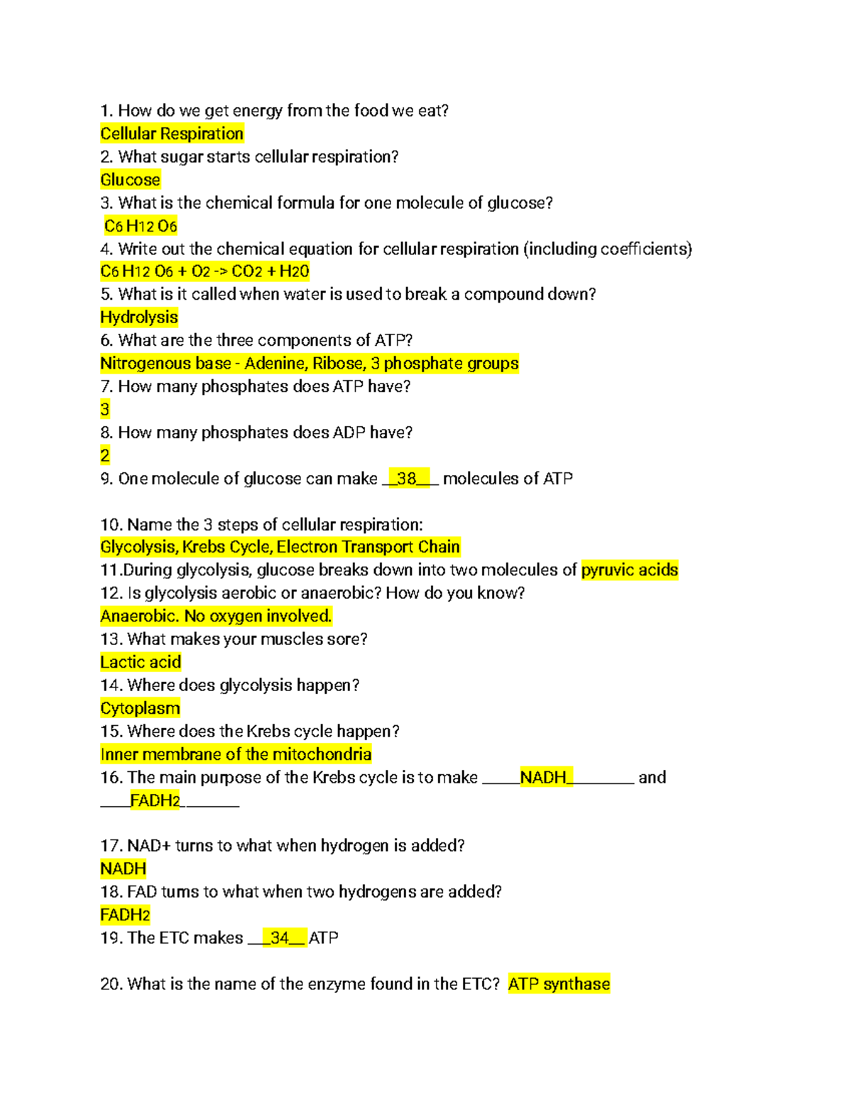 Cellular Respiration Review Questions - How do we get energy from the ...