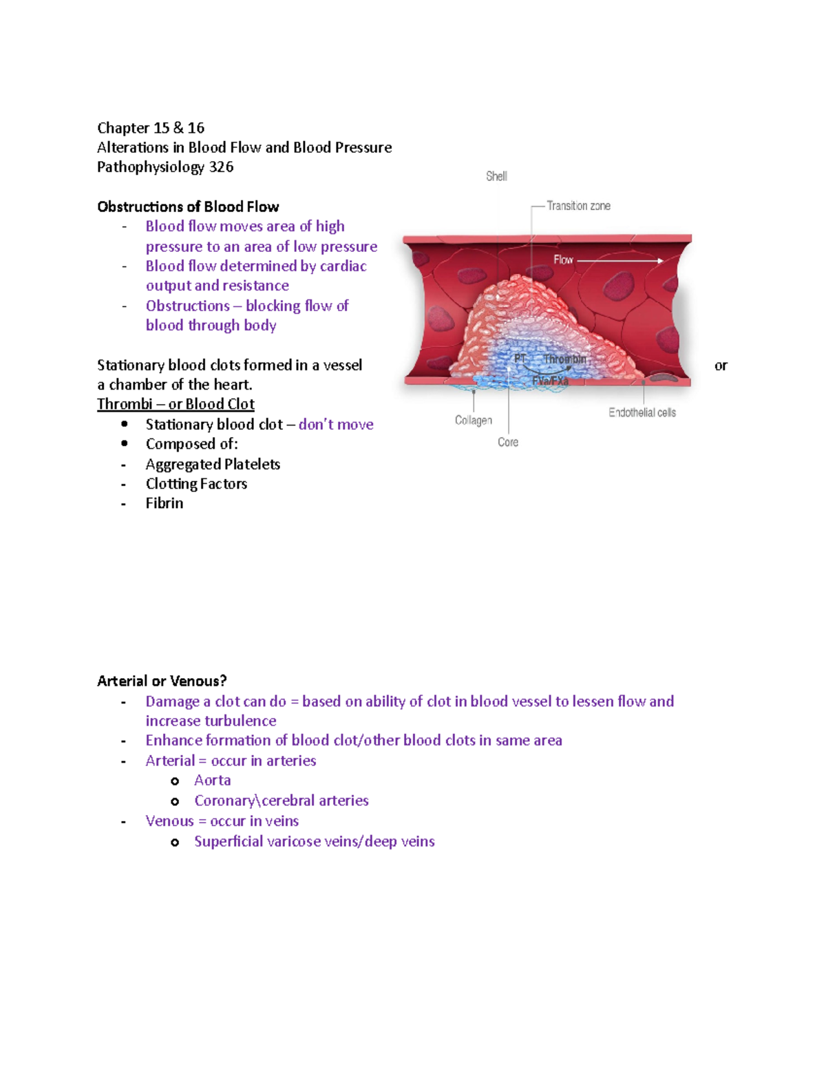 Chapter 15 - Skrovenek - Chapter 15 & 16 Alterations in Blood Flow and ...