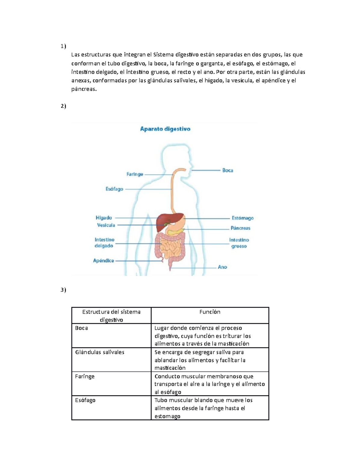Ciencias Naturales - Sistema Digestivo - 1) Las estructuras que ...