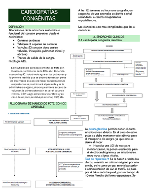 Pals 2020-2025 - versión en español - 2020 2025 Directrices y ...