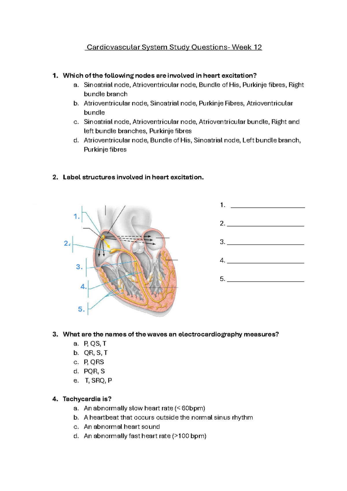 Cardiovascular System Study Questions- Week 12 - Sinoatrial node, Atrioventricular node, Bundle ...