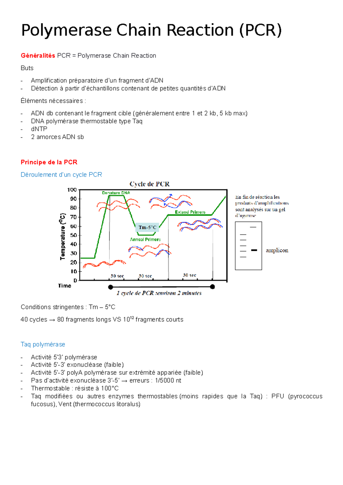 19 - PCR - Notes de cours 19 - Polymerase Chain Reaction (PCR ...