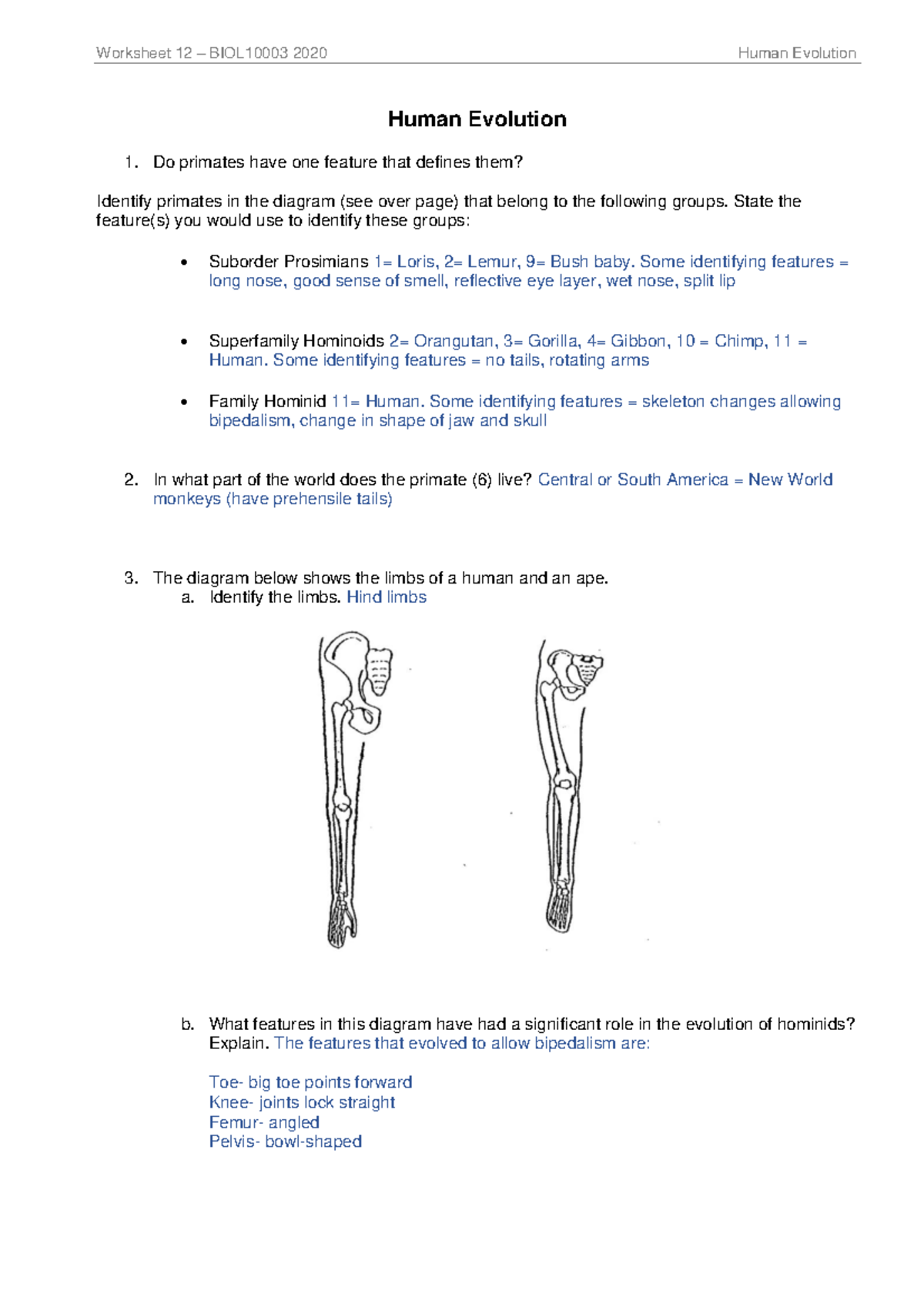 BIOL10003 Worksheet 12 ANS - Worksheet 12 – BIOL10003 2020 Human ...