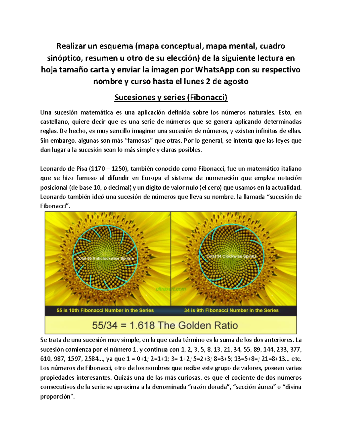 Sucesiones Warning Tt Undefined Function 32 Warning Tt Undefined Function 32 Realizar Un