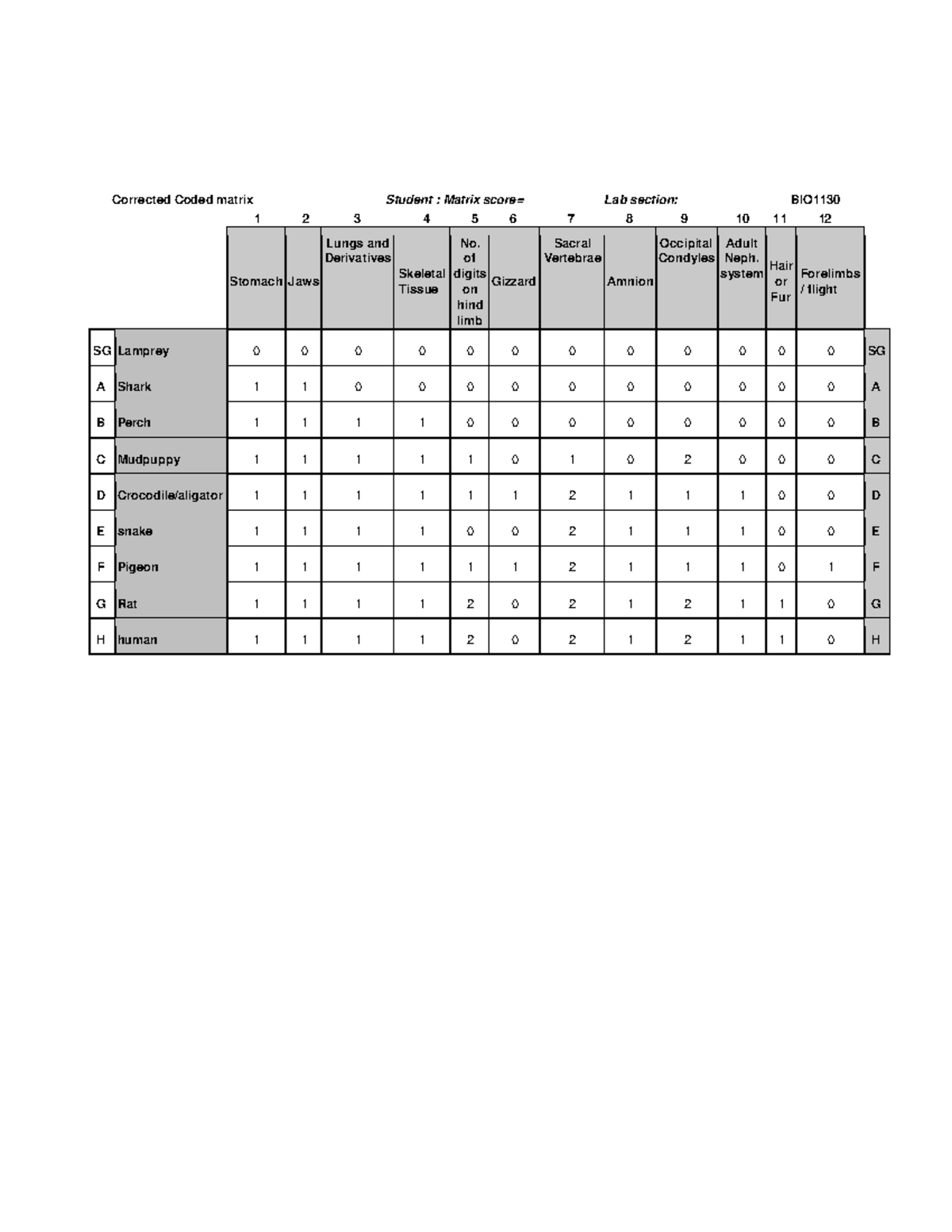 Cladogram construction BIO matrix for lab 3 - Corrected Coded matrix ...