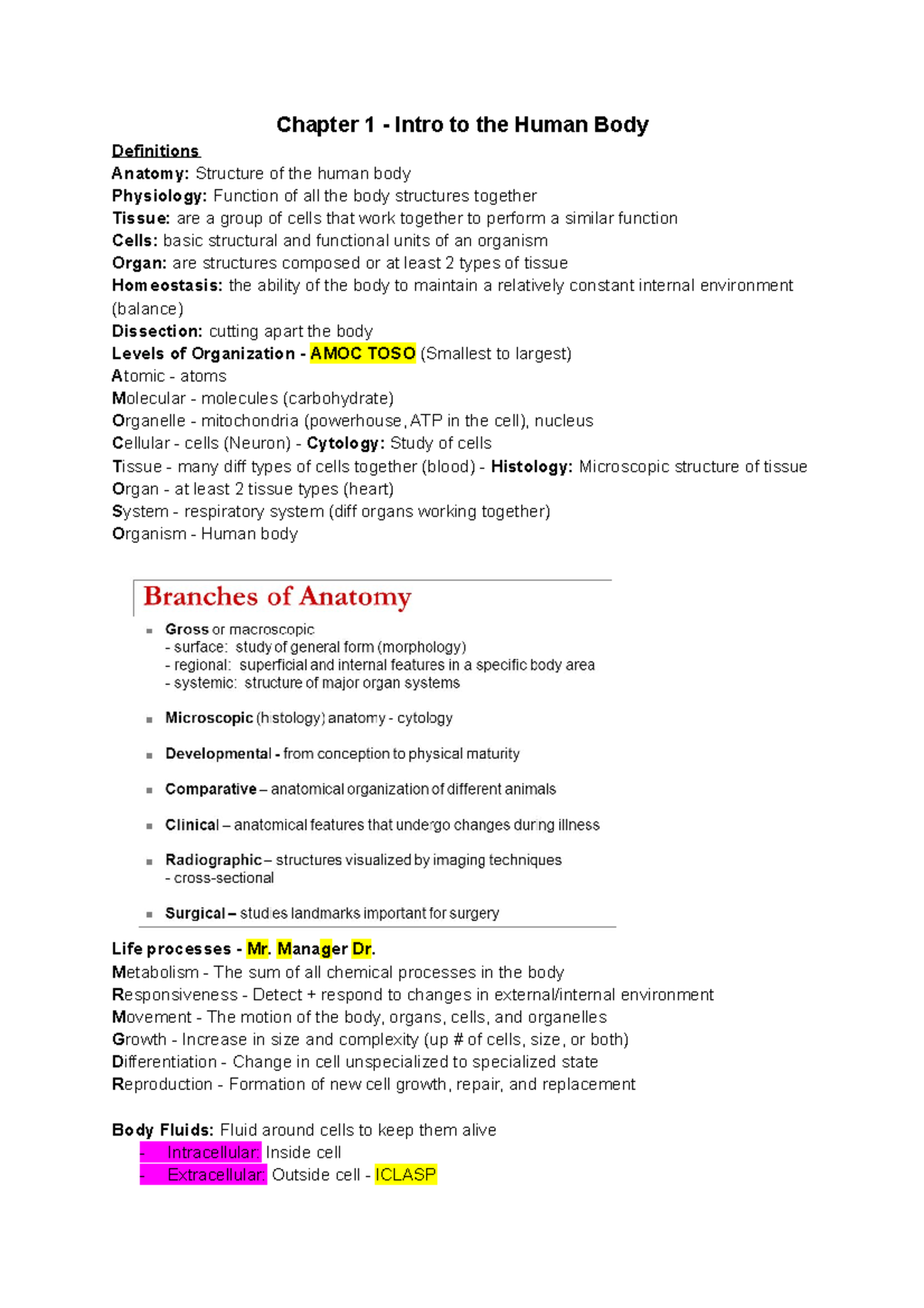 Midterm 1 Anatomy and Physiology Review - Chapter 1 - Intro to the ...