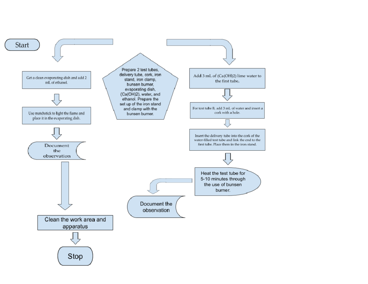 Lab Exp1-Beilstein Test schematic diagram - Start Prepare 2 test tubes ...
