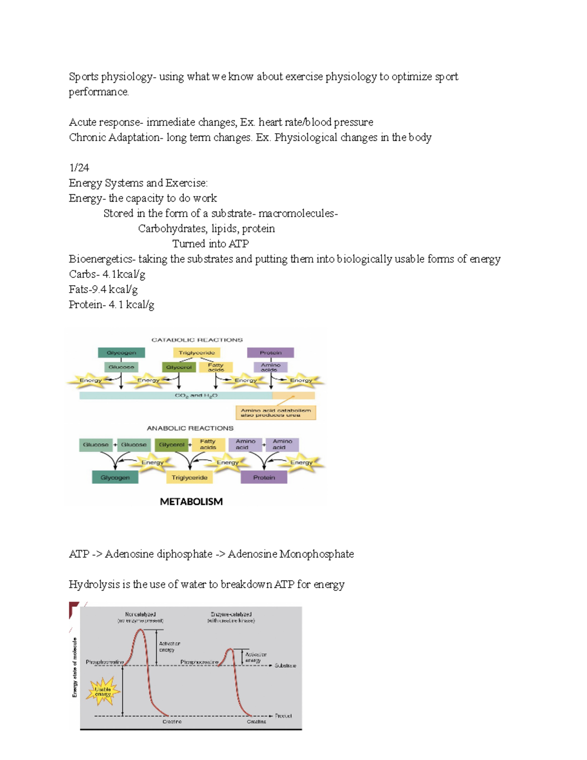 Ex Phys Notes-2 - Lecture notes - Sports physiology- using what we know ...