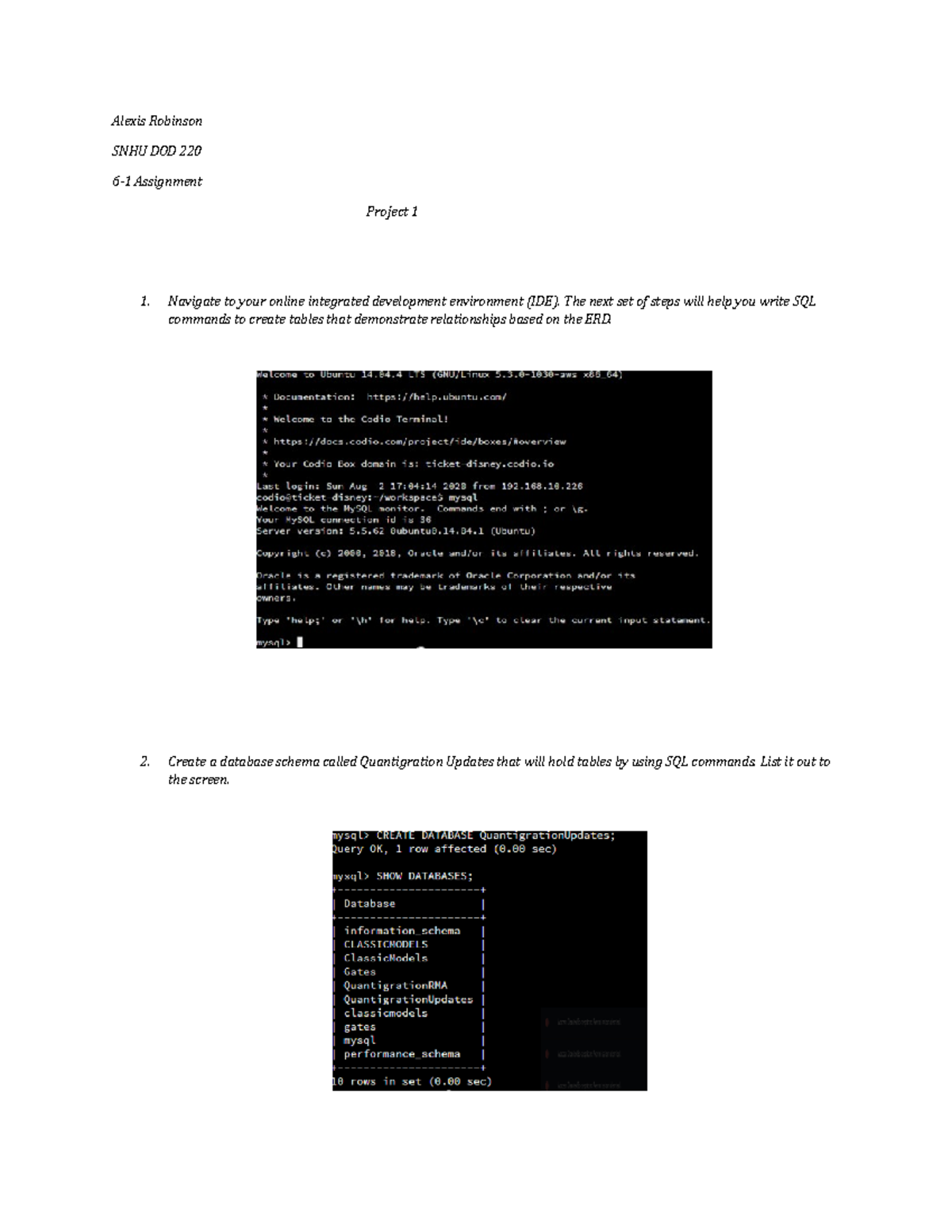 DOD 220 6-1 Project - Alexis Robinson SNHU DOD 220 6-1 Assignment ...