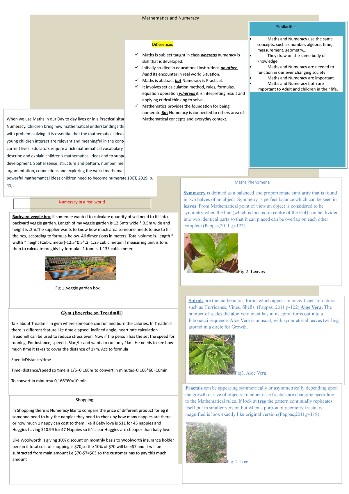 Assignment 1 Poster numeracy versus mathematics - Mathematics and ...