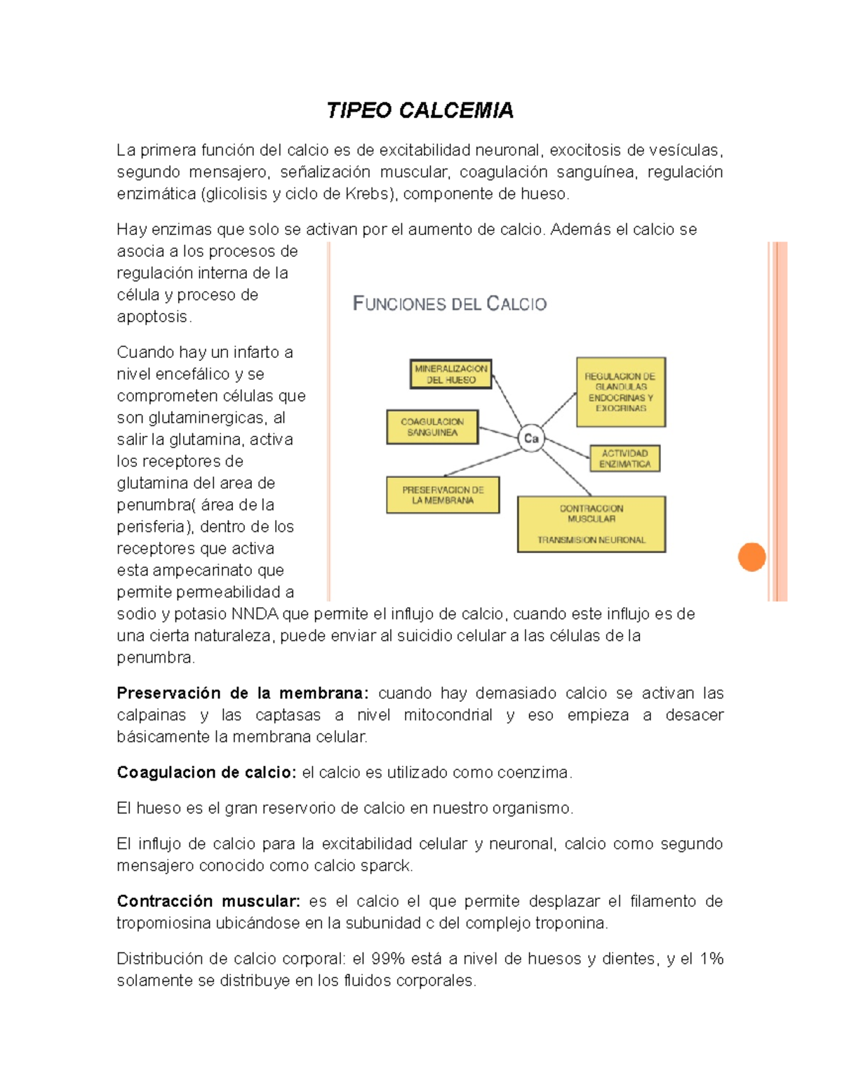 Informacion sobre calcemia y glicemia en fisiologia - TIPEO CALCEMIA La ...
