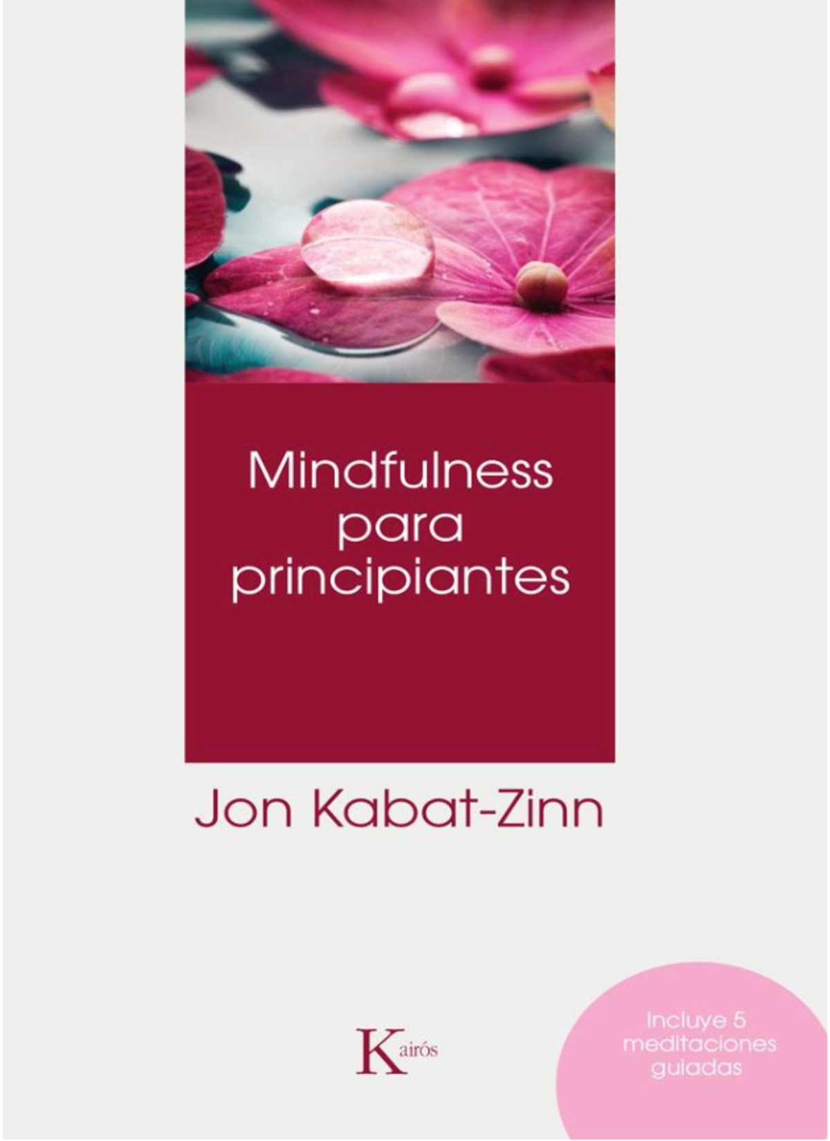 Mindfulness para principiantes libro en pdf - Jon Kabat-Zinn ...