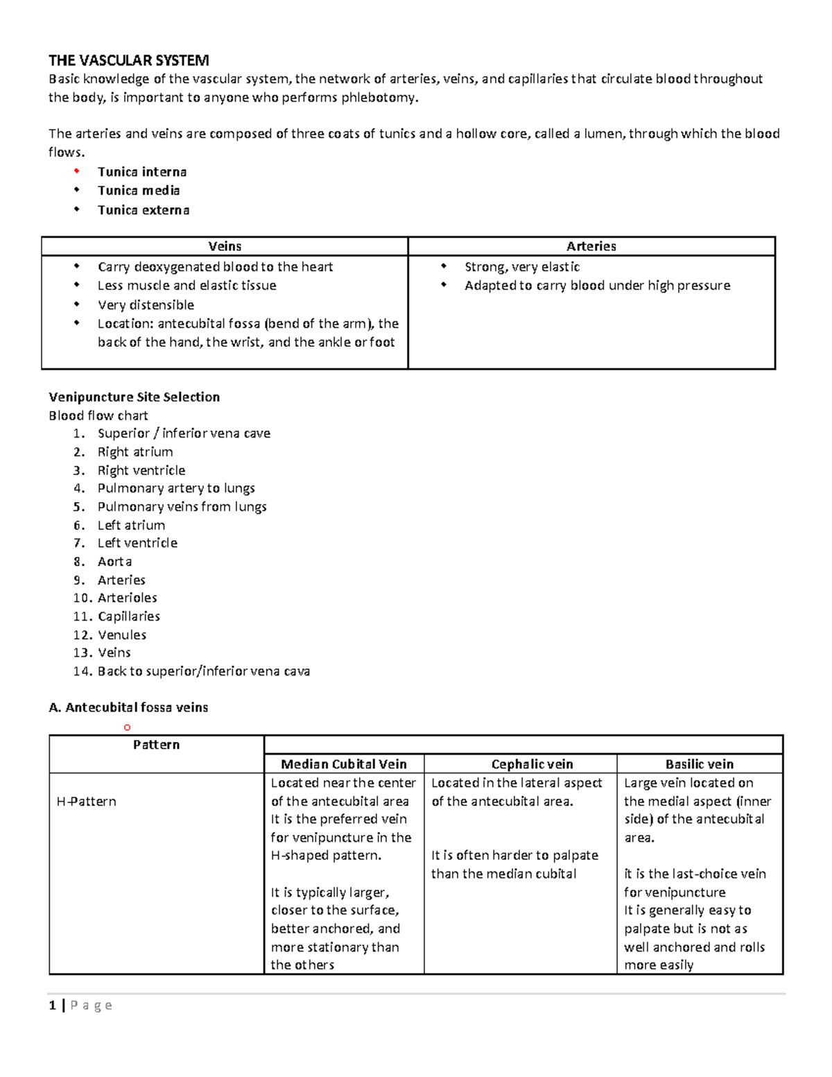 Vascular-system - Vascular system - THE VASCULAR SYSTEM Basic knowledge ...