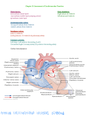 Ekgs 4th sem - ekgs - PVCs Premature ventricular contractions. A ...