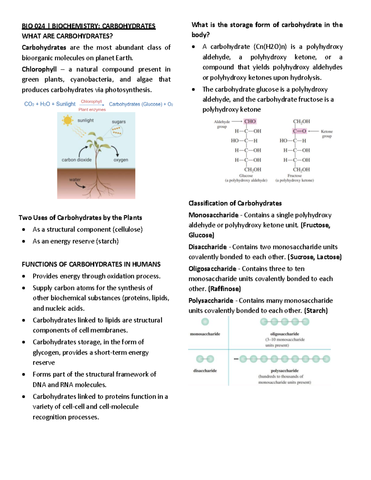 Biochem - Carbohydrates Notes - BIO 024 | BIOCHEMISTRY: CARBOHYDRATES ...