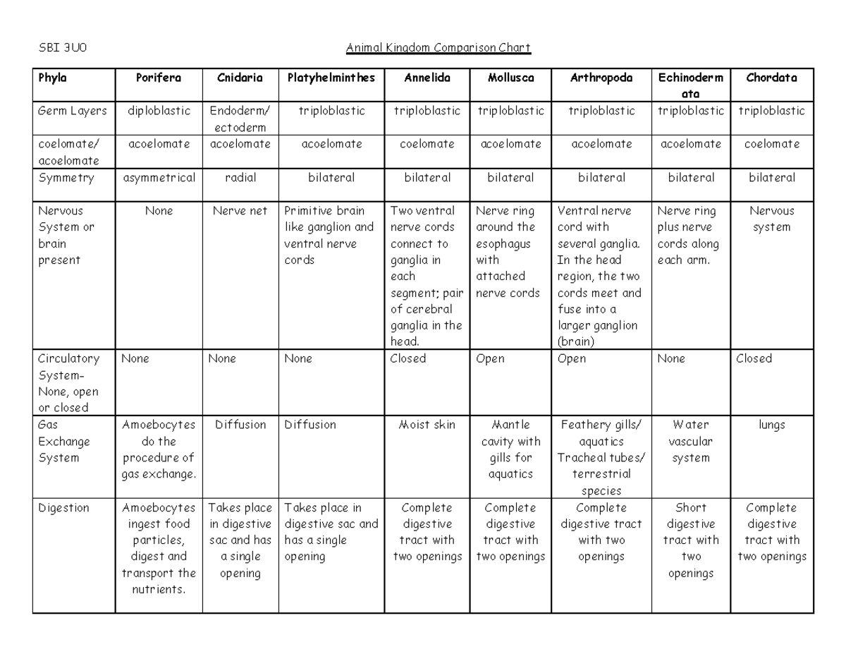 Animal Kingdom Comparison Chart S - SBI 3U0 Animal Kingdom Comparison ...
