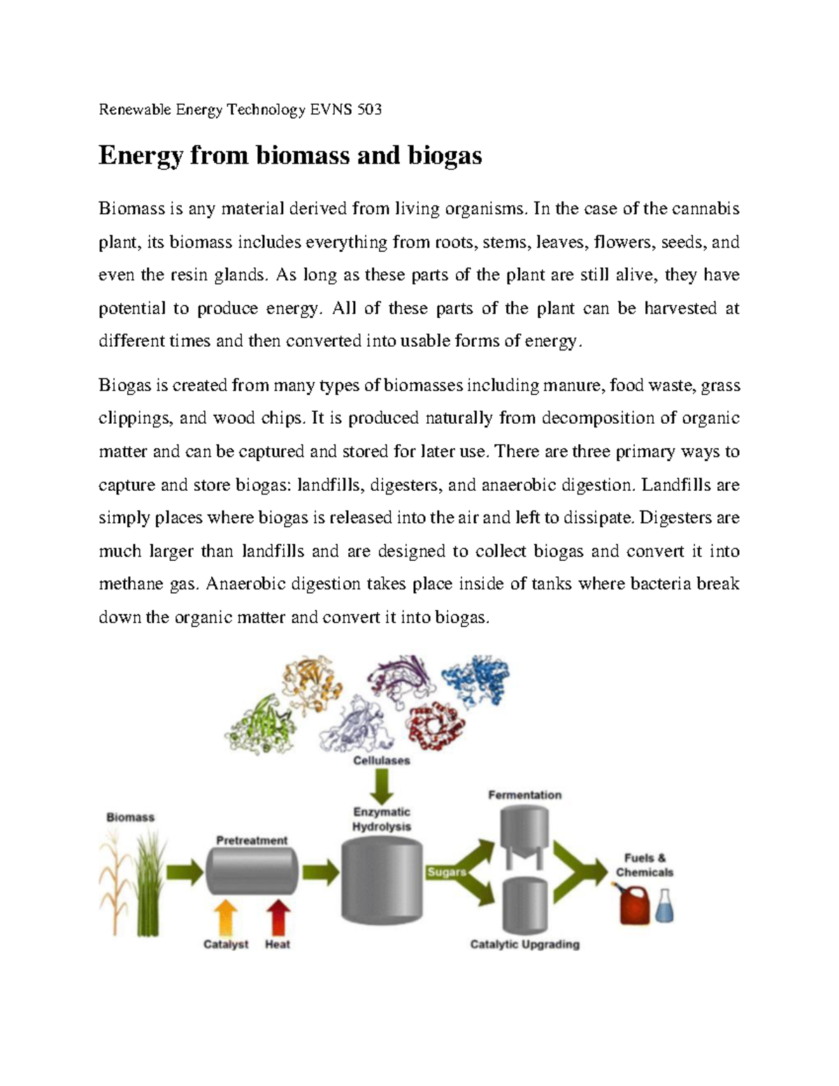 Electricity From Biomass Bios Bioenergiesyteme Biogas