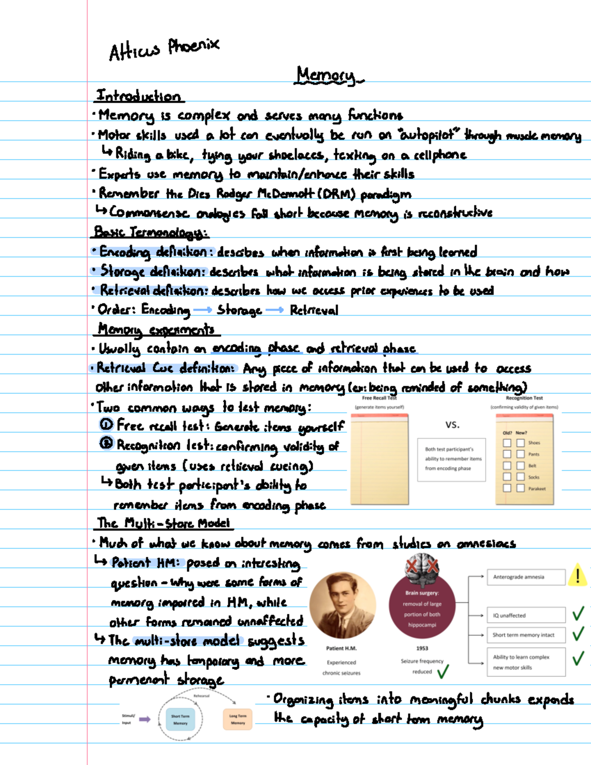 PSYCH 1X03 - Memory - Memory Introduction Memory is complexand serves ...