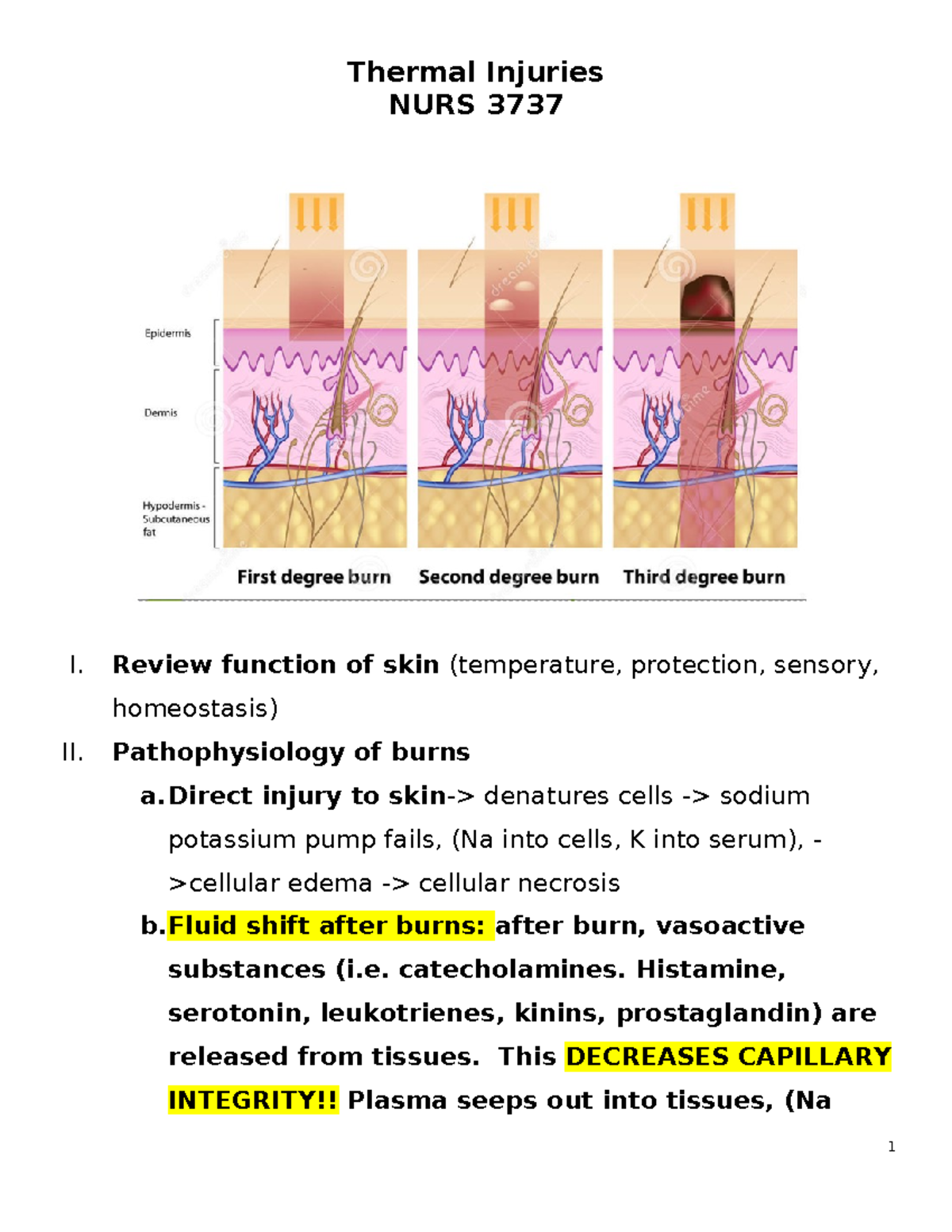 Thermal Injuries Review - Tagged - NURS 3737 I. Review function of skin ...