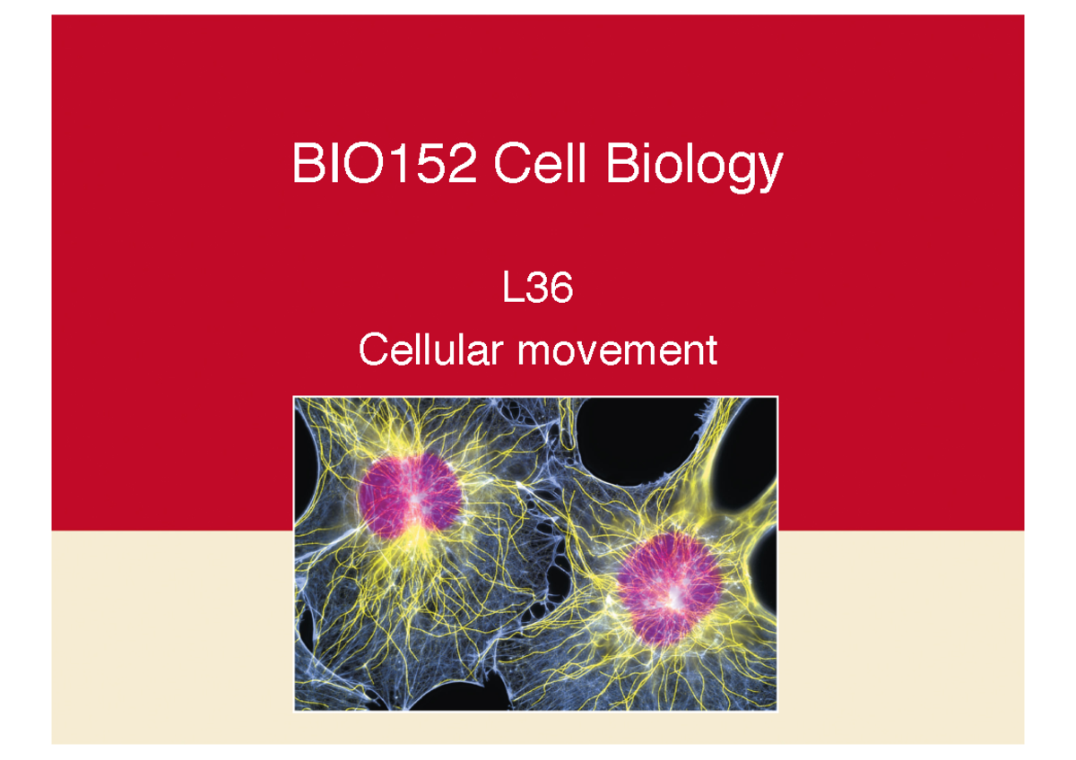 L27 - BIO152 Cell Biology L Cellular movement Top i c 8 Specialised ...