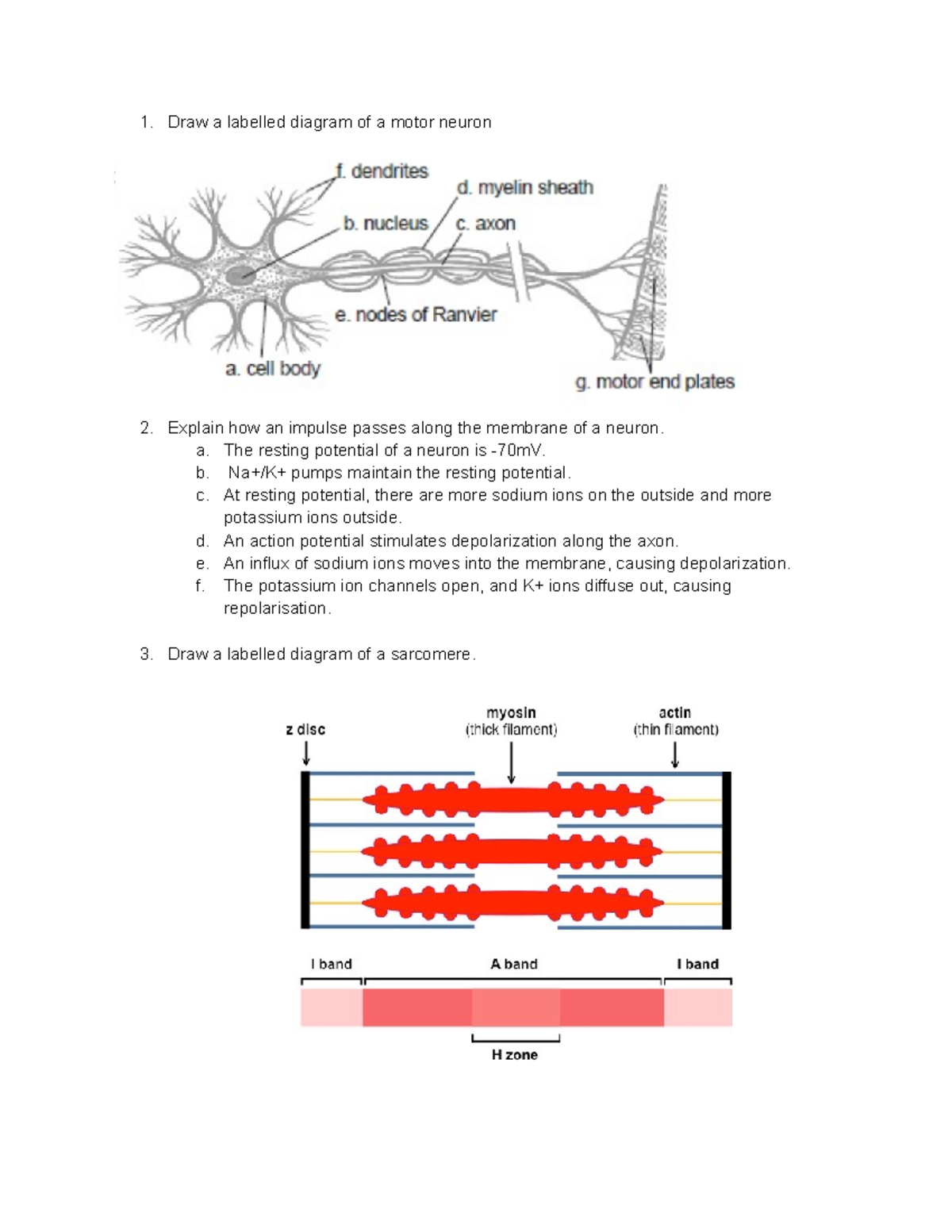 Topic 6 and Topic 11 Paper 2 Practice - Draw a labelled diagram of a ...