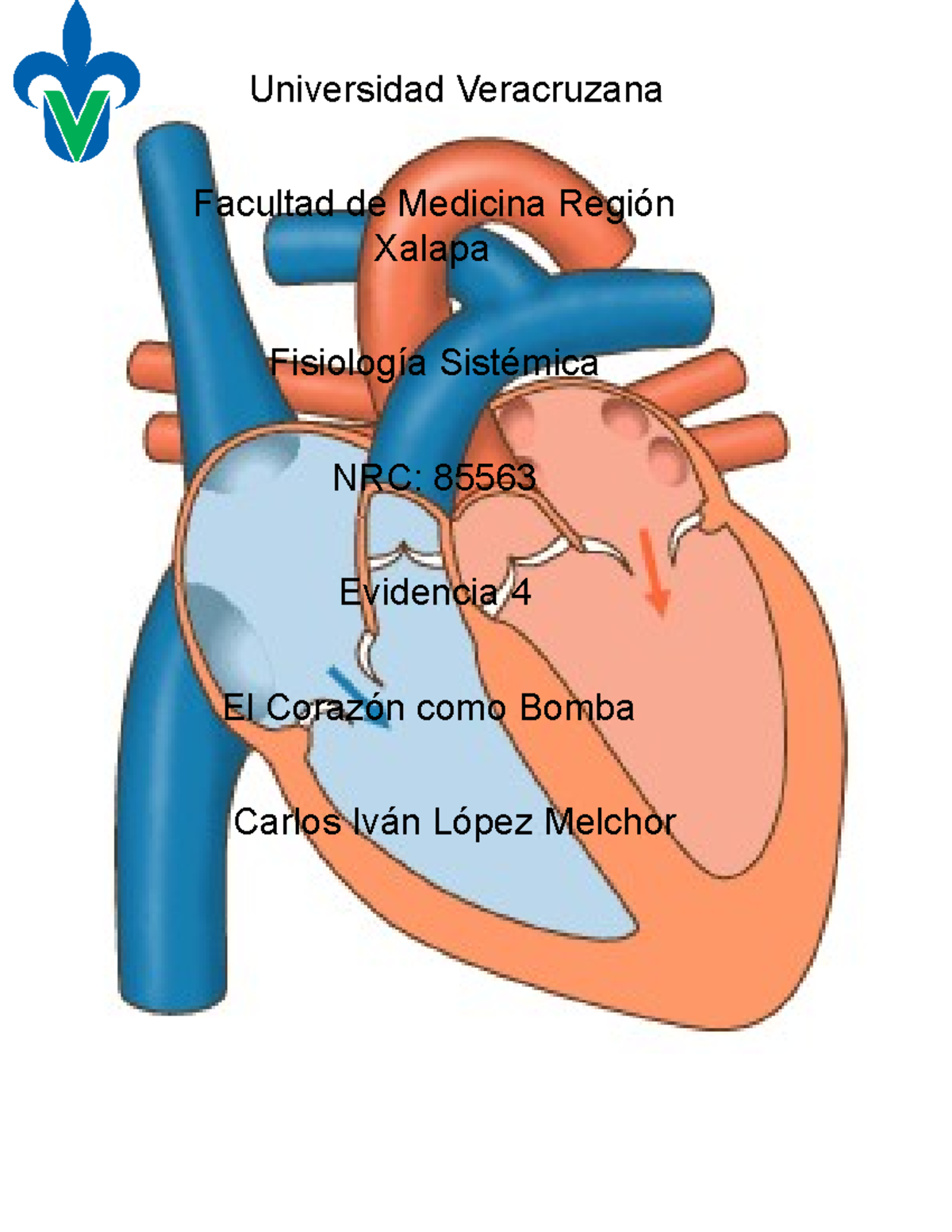 Act 4. 11. El Corazon como Bomba - Universidad Veracruzana Facultad de ...