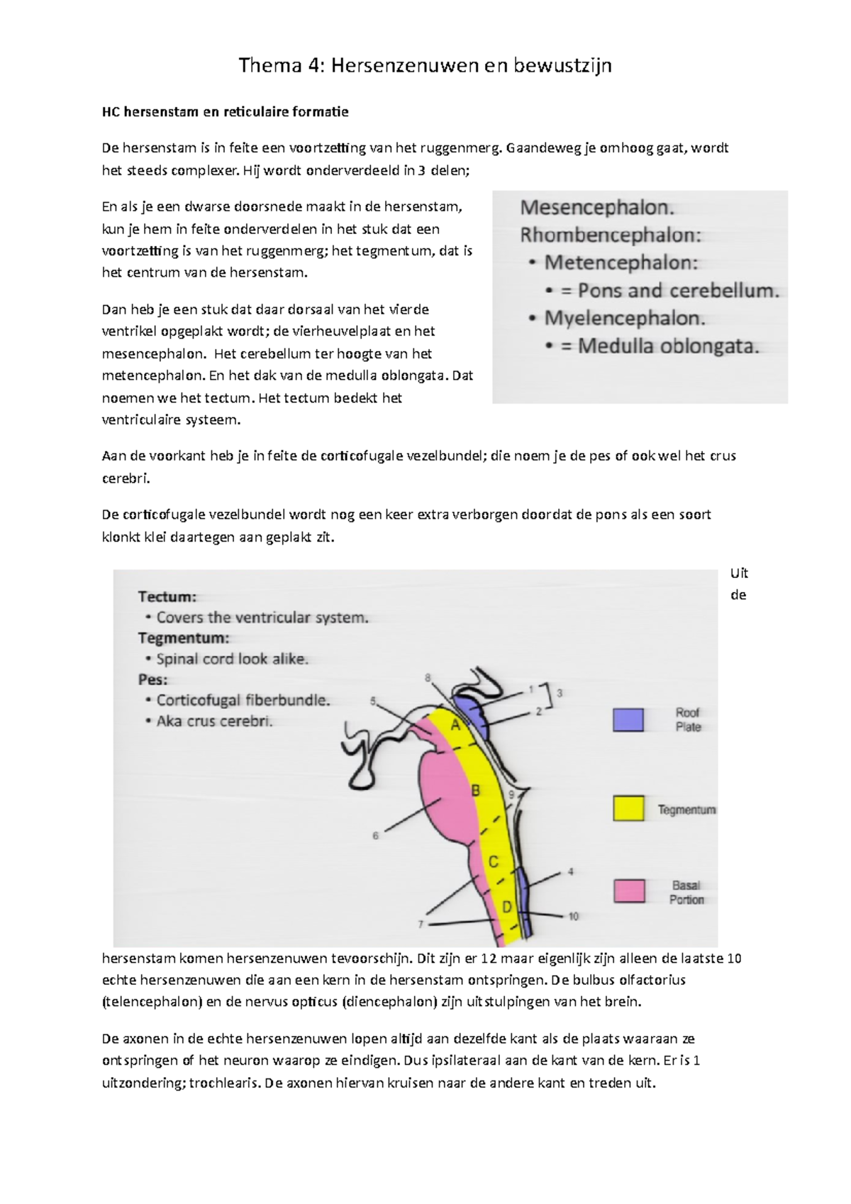 Hersenen thema 4 ; hersenzenuwen en bewustzijn - Thema 4: Hersenzenuwen ...