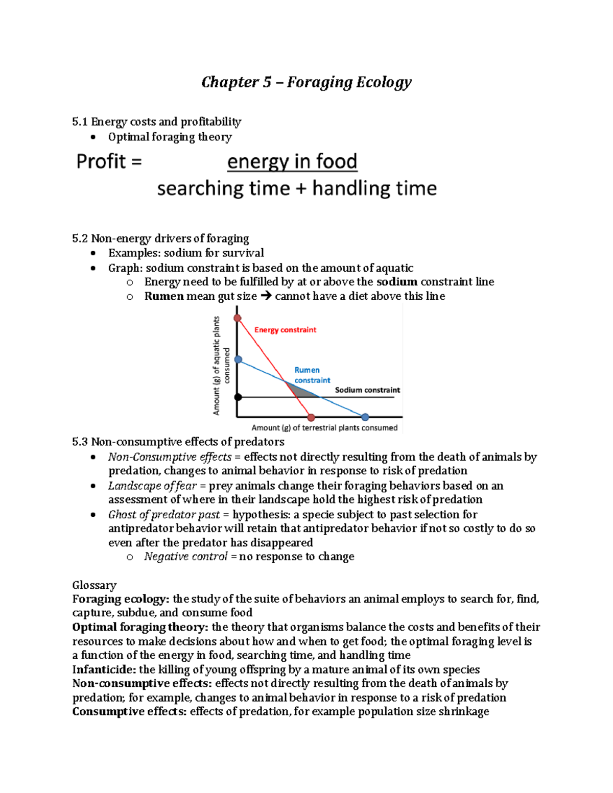 Ecology Chapter 5 Foraging Ecology - Chapter 5 – Foraging Ecology 5 ...