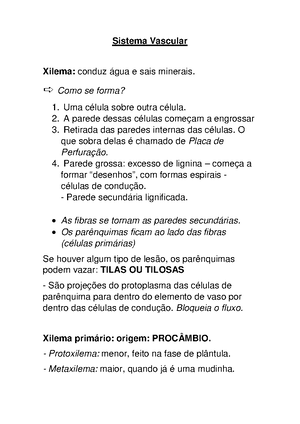 Estrutura Secundária do Caule - Estrutura do Caule ocorre em raiz e ...
