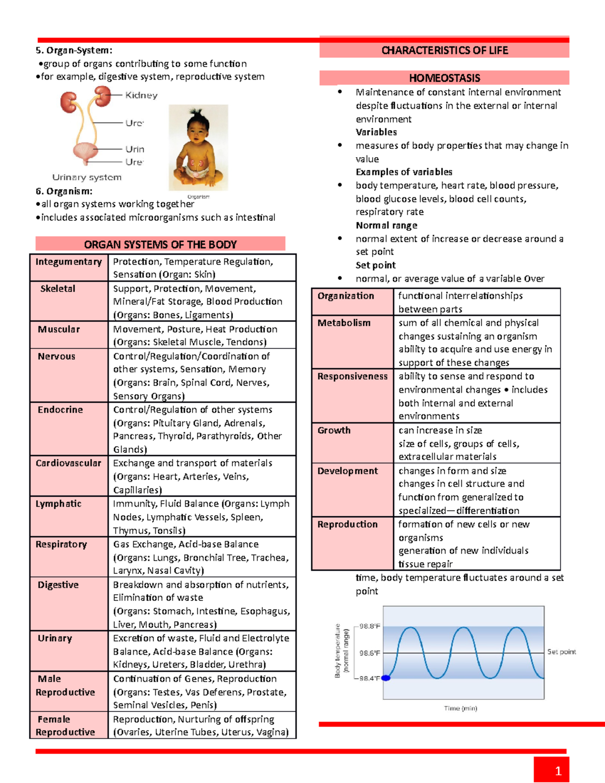 Chapter 1 - ANATOMY - Organ-System: •group of organs contributing to ...