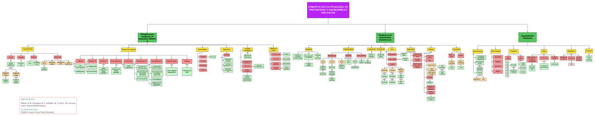 MAPA Conceptual- Streptococcuspyogenes, ST - STREPTOCOCCUS PYOGENES, ST ...