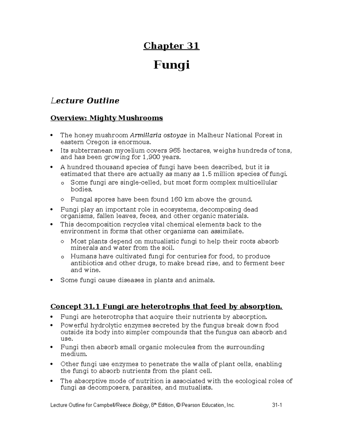 Chapter 31 fungi - Chapter 31 Fungi Lecture Outline Overview: Mighty ...