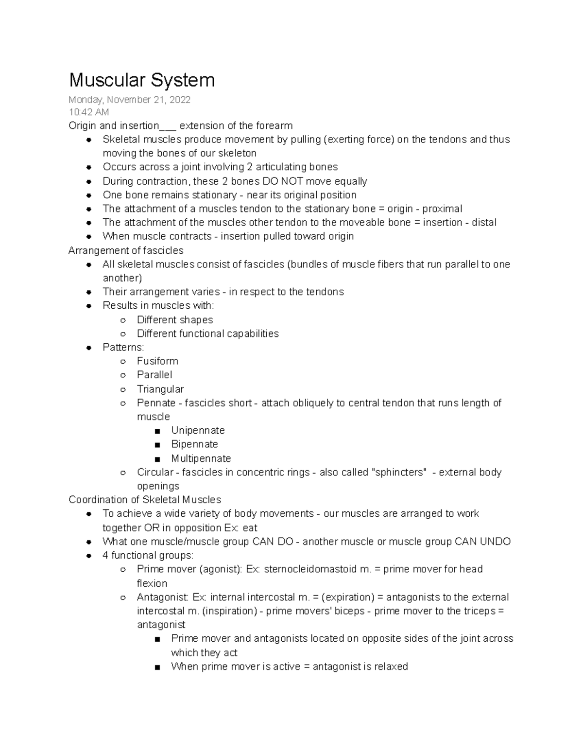 Muscular System - Muscular System Monday, November 21, 2022 10:42 AM ...