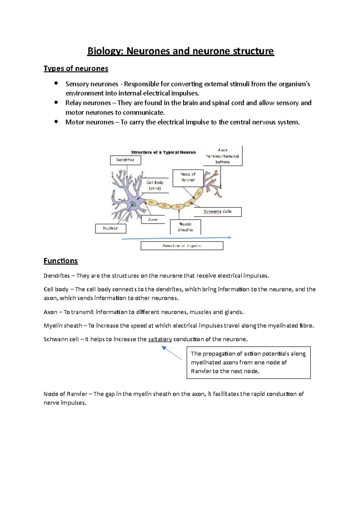 biology, neuroscience lecture note - Biology: Neurones and neurone ...