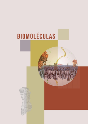 2.5.2.5 Lab - Authentication Authorization Accounting - Objetivos Ante una situación, seleccione ...