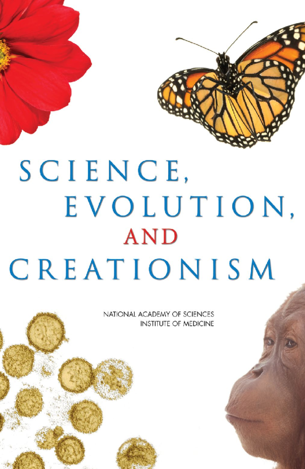 Evolution Brochure - Why Is Evolution Important? The discovery and ...