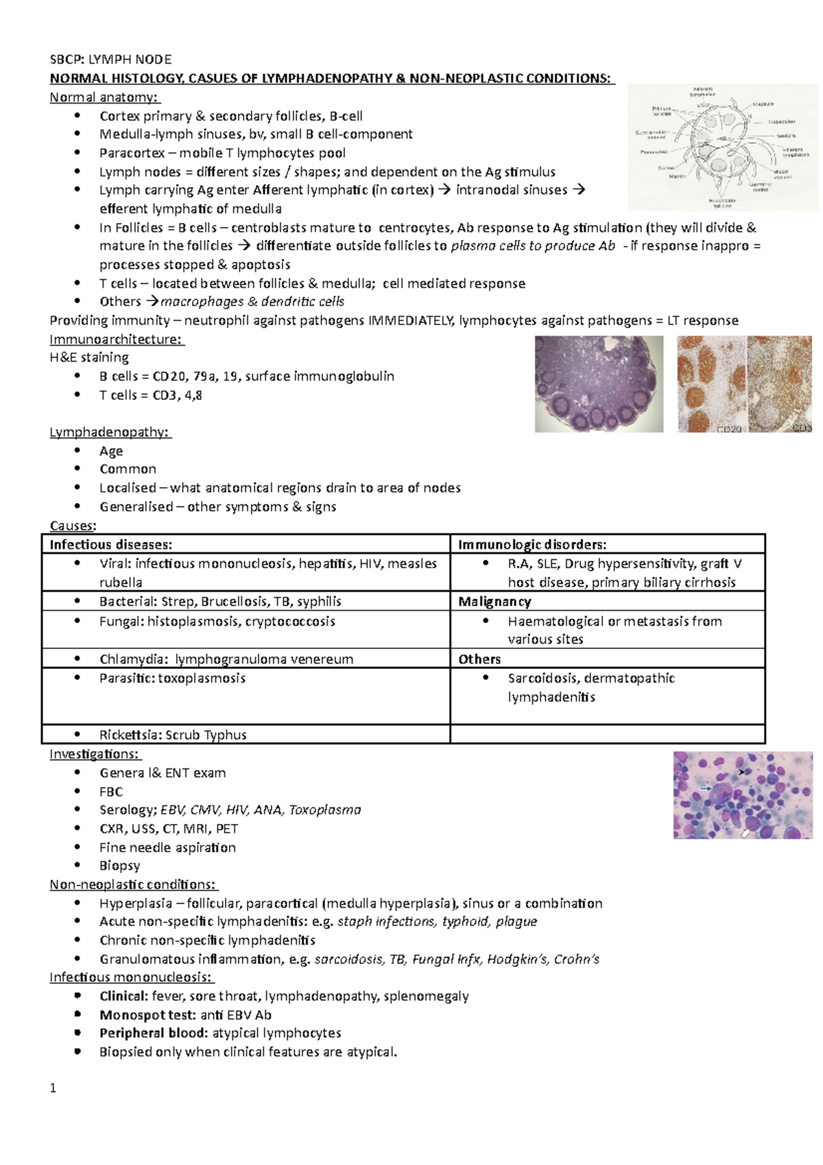 1. Lymph NODE Notes - NORMAL HISTOLOGY, CASUES OF LYMPHADENOPATHY & NON ...