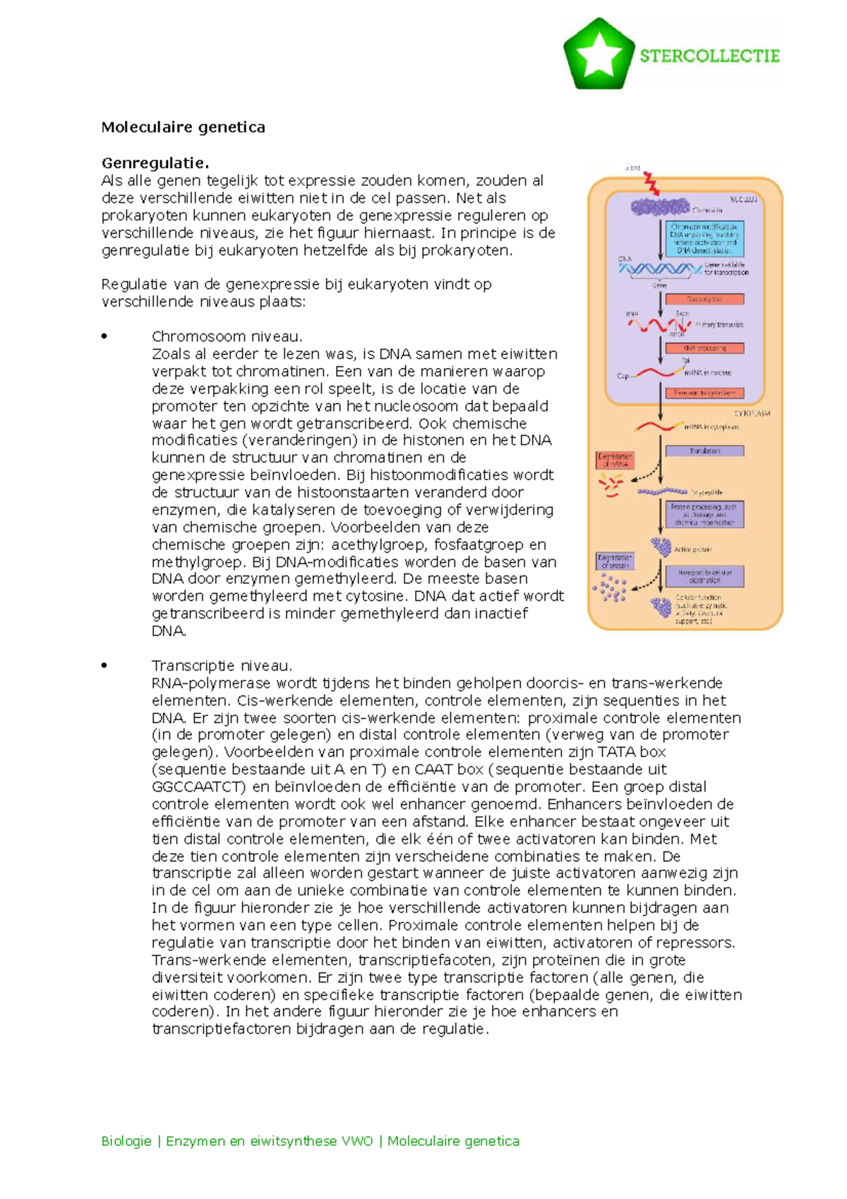 Moleculaire genetica - Moleculaire genetica Genregulatie. Als alle ...