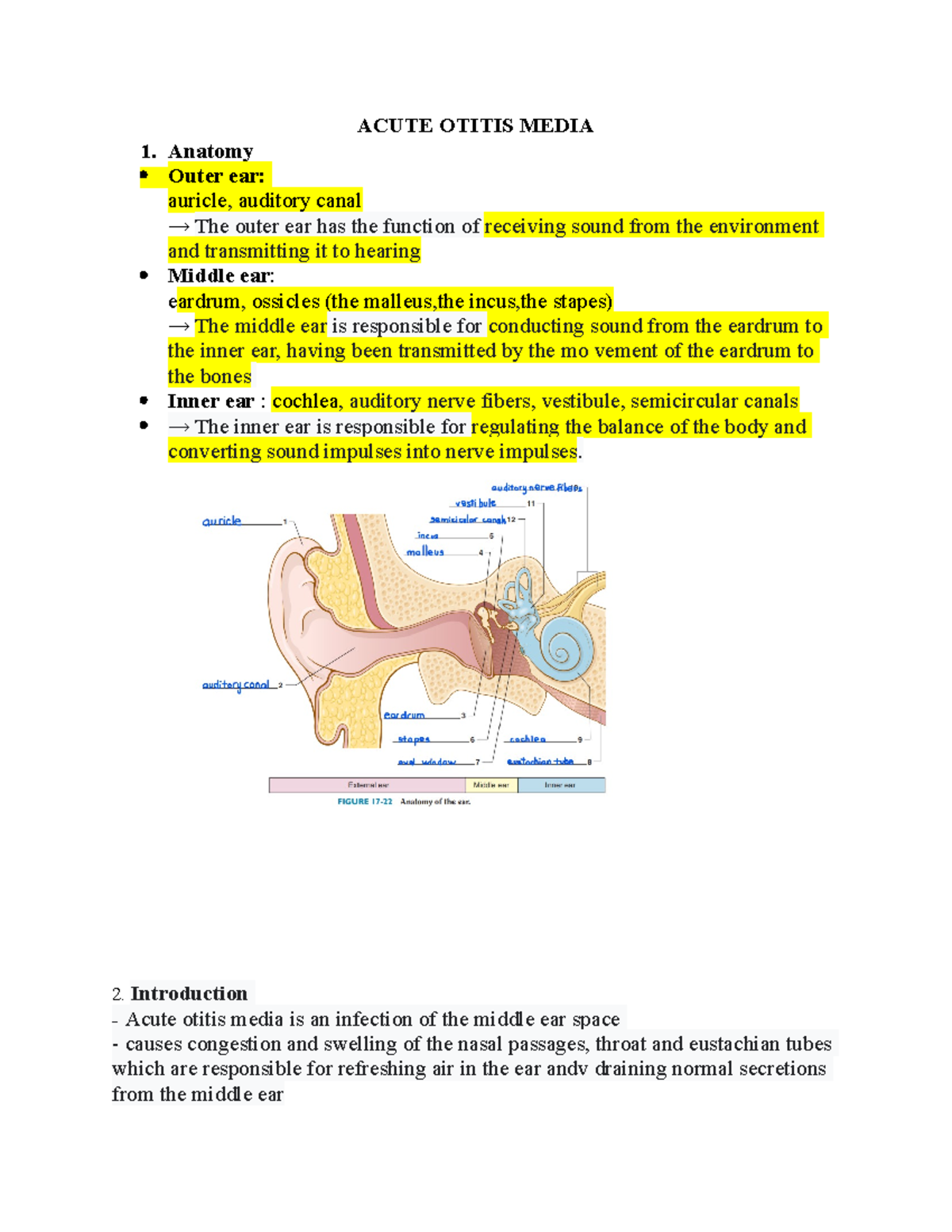 Acute-otitis-media - ds,svvvvvvvvvvvvvvvvvvv - ACUTE OTITIS MEDIA ...