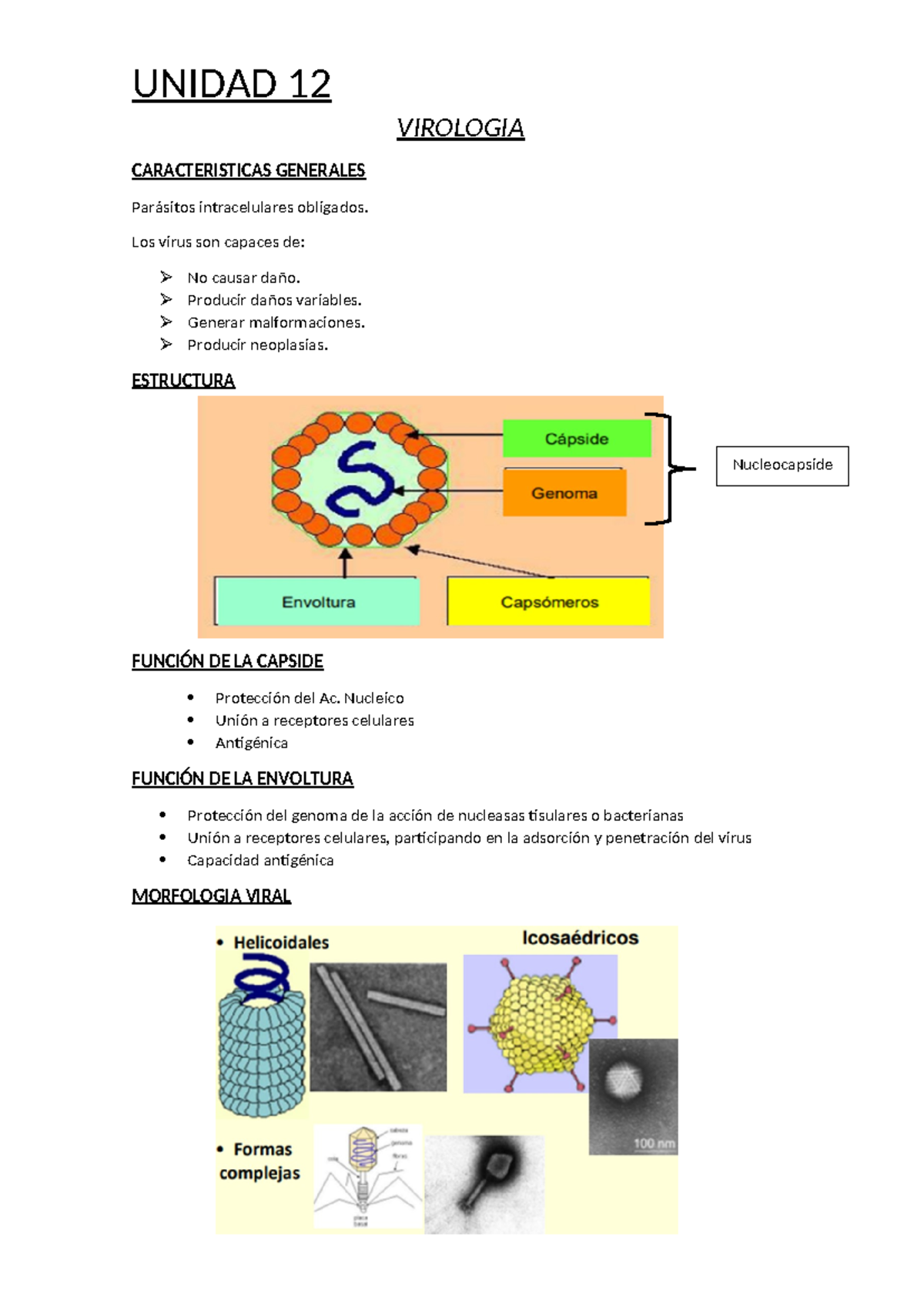 Unidad 12 Virologia - apuntes de microbiologia - VIROLOGIA ...