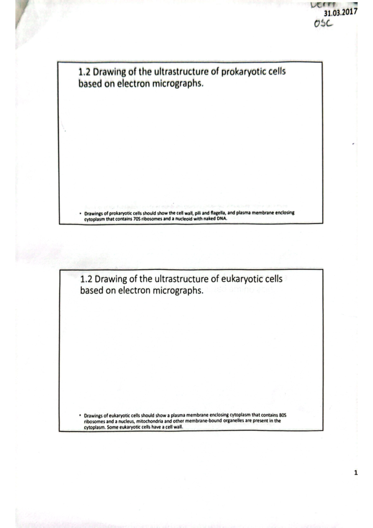 Must Draws Biology HL Prompts - Studocu