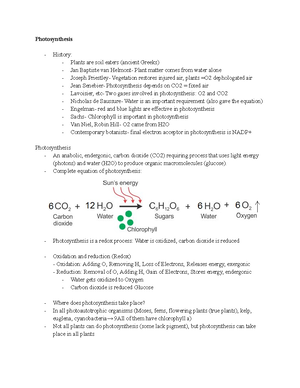 Botafun Reviewer LE2 - botany lecture - BOTAFUN_REVIEWER_LE Module 4: Photosynthesis ...