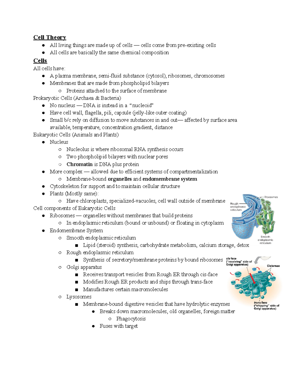 CH 4 Summary - used for exam 1 - Biology - Cell Theory All living ...