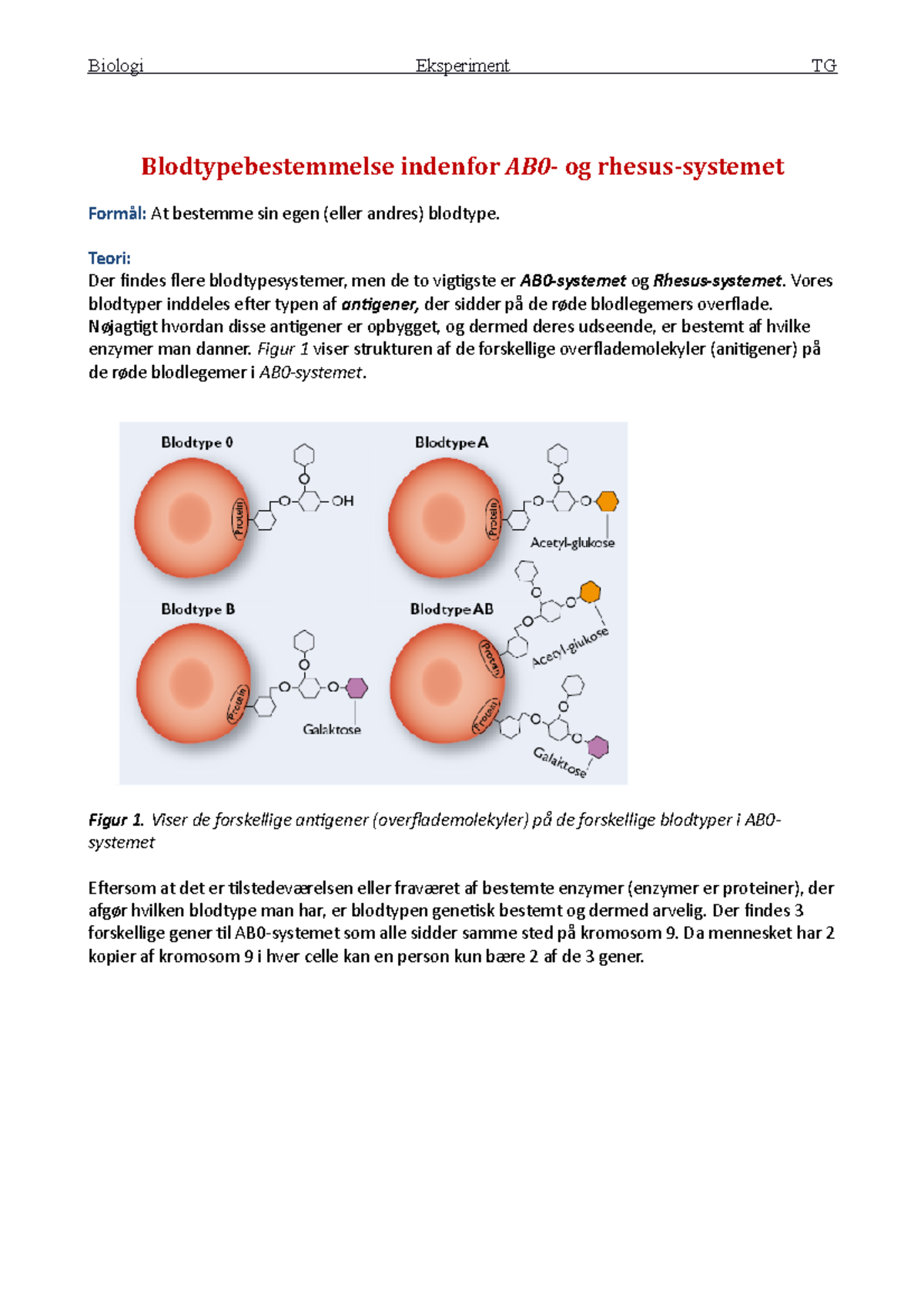 Yubio super light lektier - Blodtypebestemmelse indenfor AB0- og rhesus ...