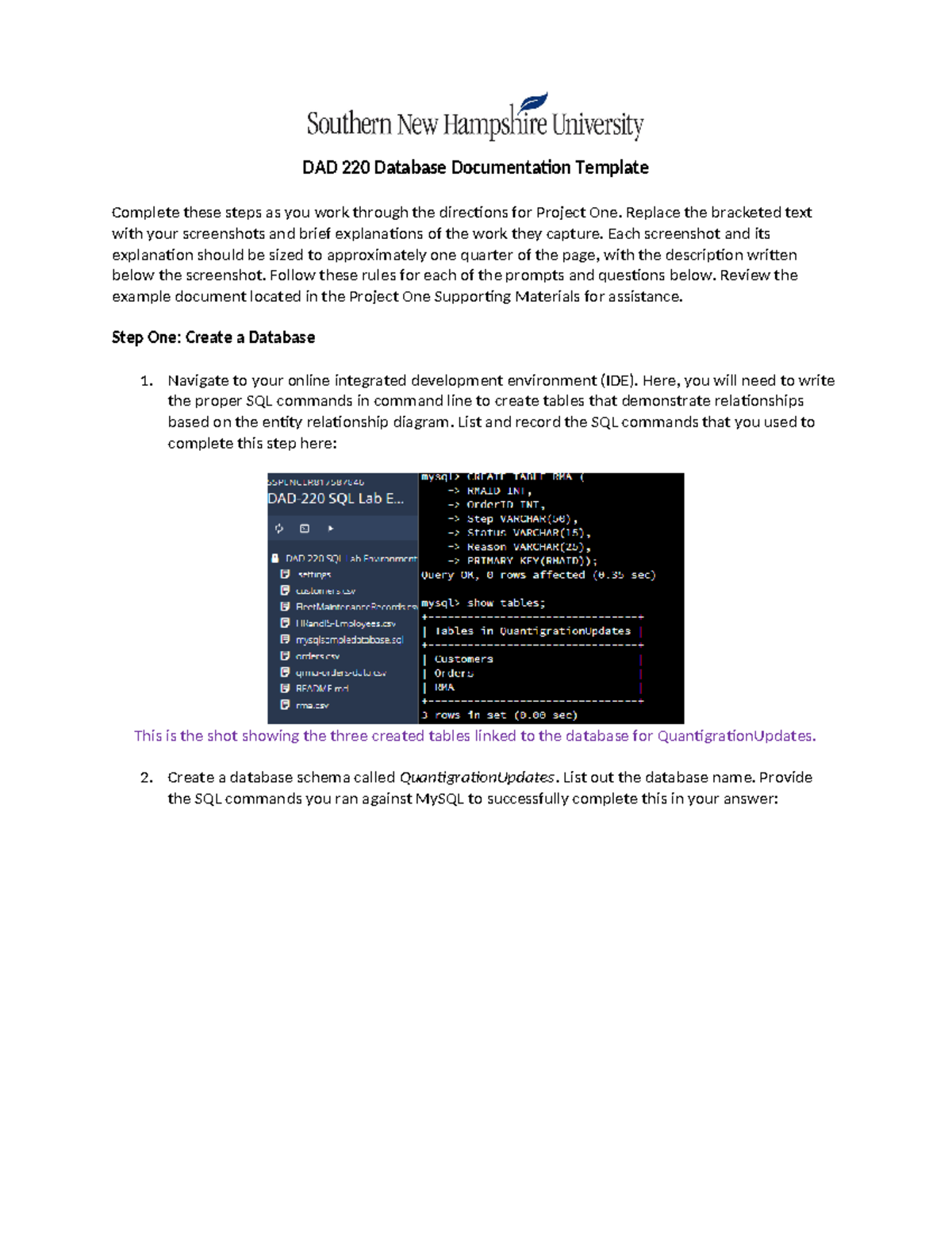 Dad 220 Mod 6 Database Documentation Template Anastacia Spencer Dad 220 Database Documentation